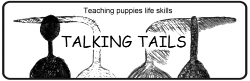 Contact Talking Tails – Welcome